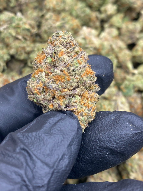 Commercial Ins – DELIRIUM THCA