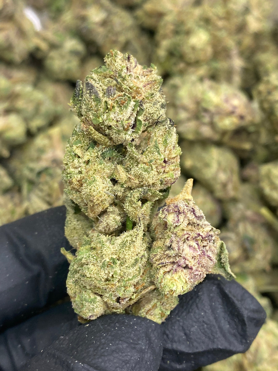 Modified Grapes (R) 071724 – DELIRIUM THCA